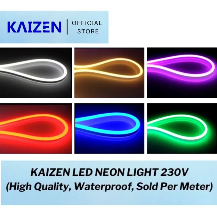 Kaizen LED Waterproof 220V 8mm LED Neon Lights Per Meter | Lazada PH