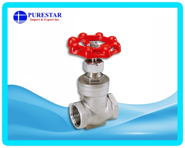 Stainless gate valve | Lazada PH