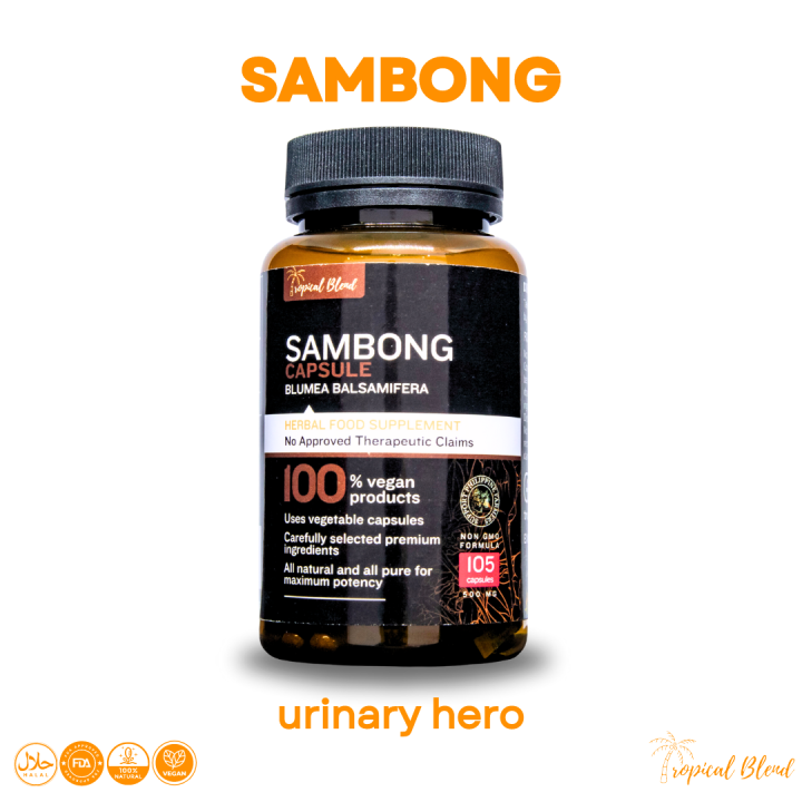 Sambong Leaf Capsules Food Supplements Pure and Organic FDA Approved ...