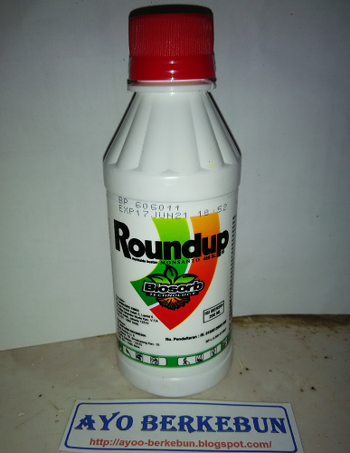 Racun Rumput Roundup / Herbisida / Pembasmi Rumput Roundup 200 ml ...