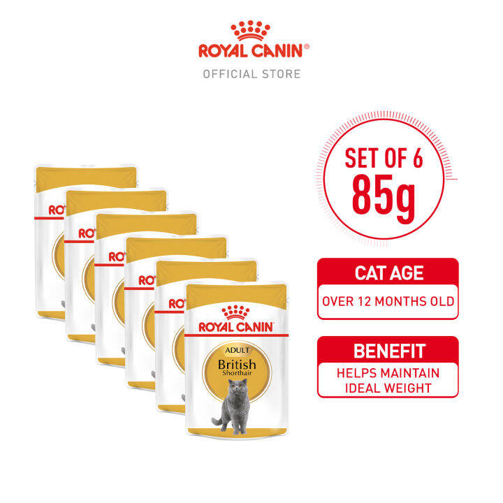 Royal Canin British Shorthair Adult Wet Cat Food (85g x 6 pouches) - Feline Breed Nutrition ...