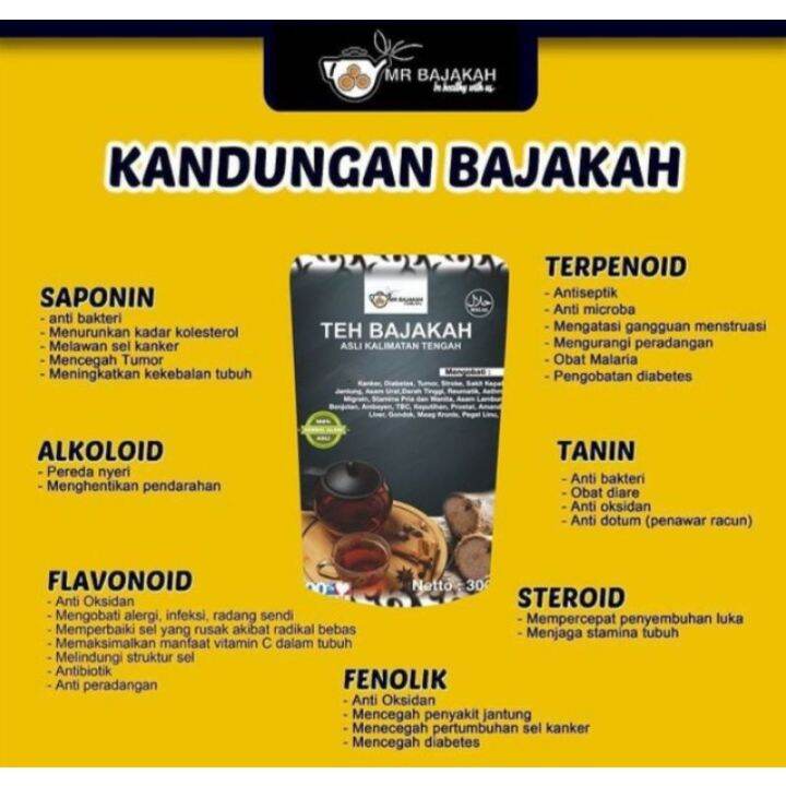 MR BAJAKAH Kayu Bajaka Teh Herbal Asli Kalimantan Bajakah Kualitas ...
