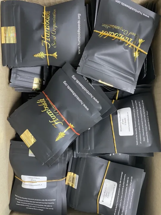 Humboldt Company Blueberry, Runtz แพ็คสแตมป์ทอง 3 per pack | Lazada.co.th