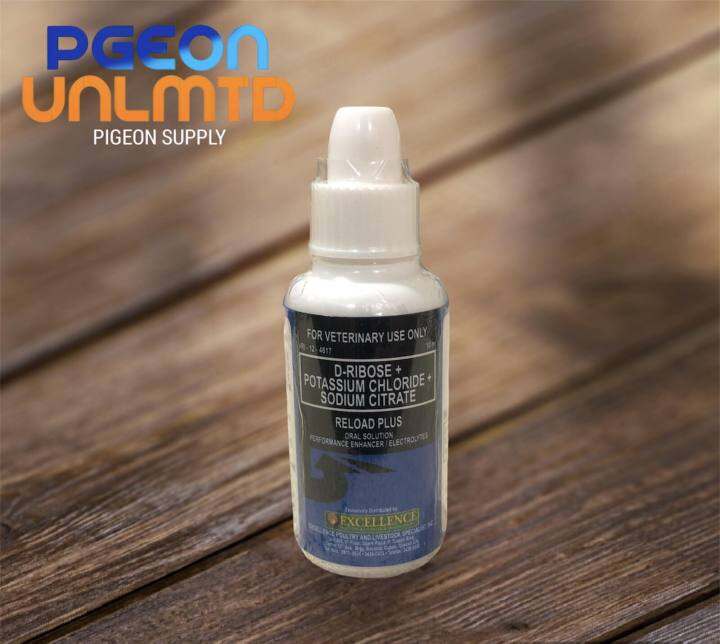 Reload Plus / L-Carni / Power wings | Lazada PH