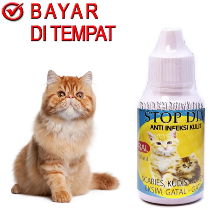 STOP DIX ORAL OBAT SCABIES KUCING KORENG ANTI JAMUR | Lazada Indonesia