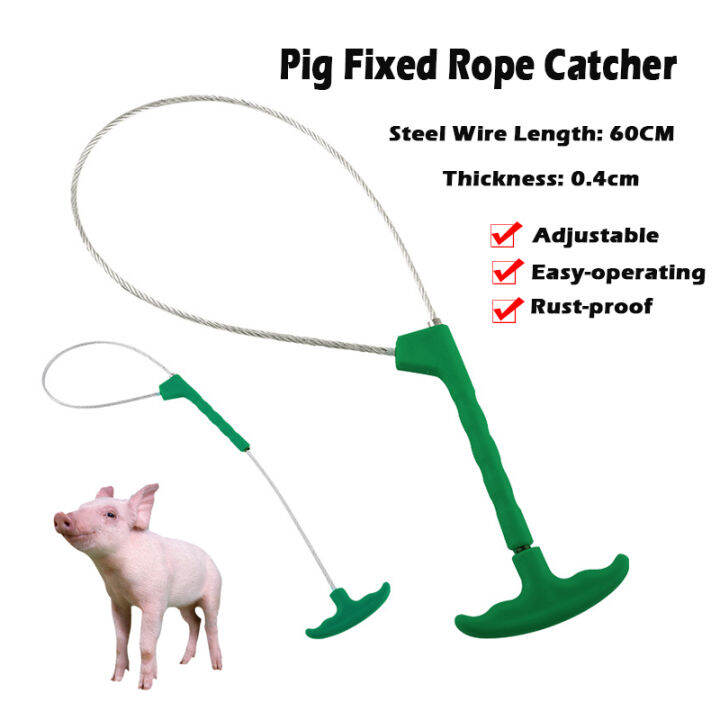 60cm Pig Fixed Rope Catcher Dog Pig Trap Stainless Steel Livestock ...