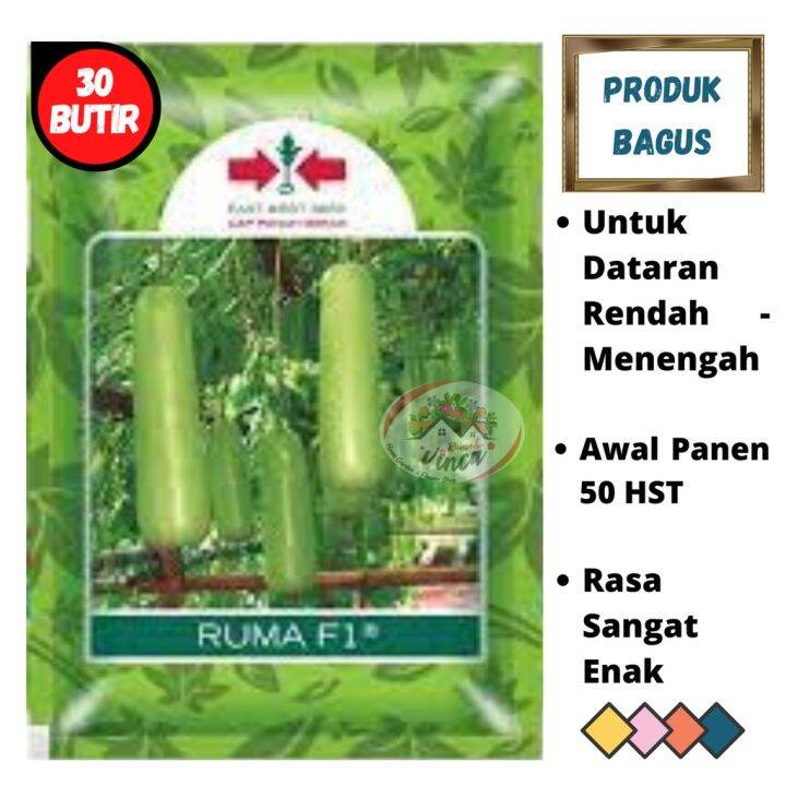 Benih Bibit Biji Labu Air Labu Manis RUMA F1 30 Butir dari Cap Panah ...