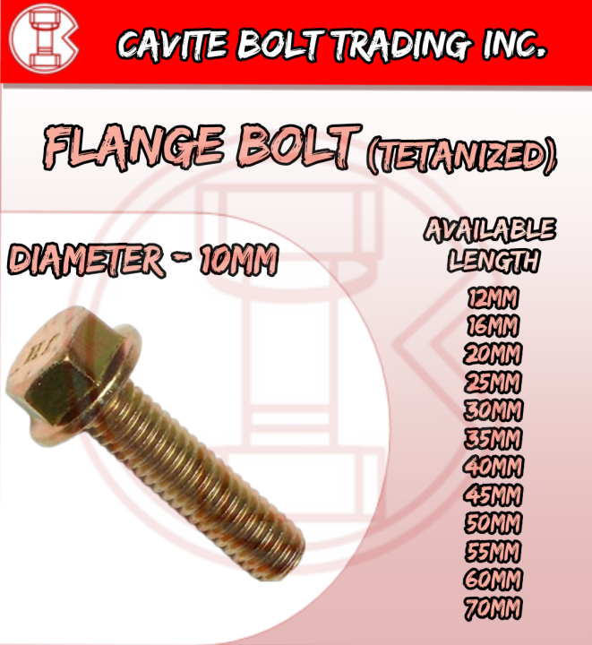 FLANGE BOLT M10/10mm (TETANIZED) 5 PCS | Lazada PH
