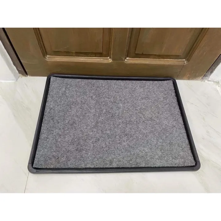 Disinfecting Mat Foot Bath Sanitation Mat durable | Lazada PH