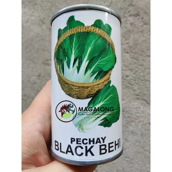 ♂CONDOR SEEDS - PECHAY SEEDS - BLACK BEHI 29,800 Seeds - JR CAN LIGO ...
