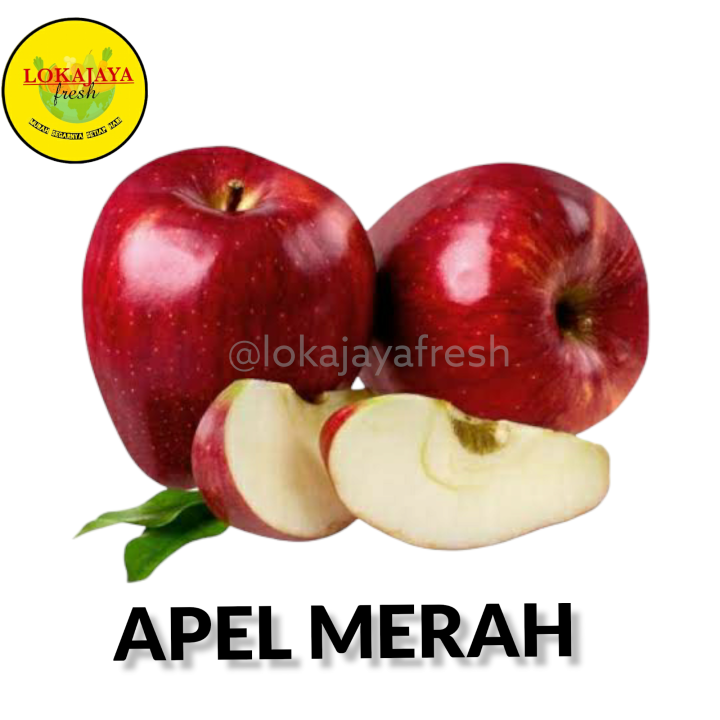 apel merah washington 1 kg murah | Lazada Indonesia