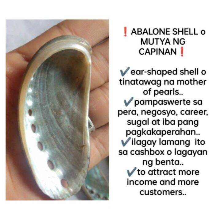 Abalone shell o mutya ng Capinan Lucky charm | Lazada PH