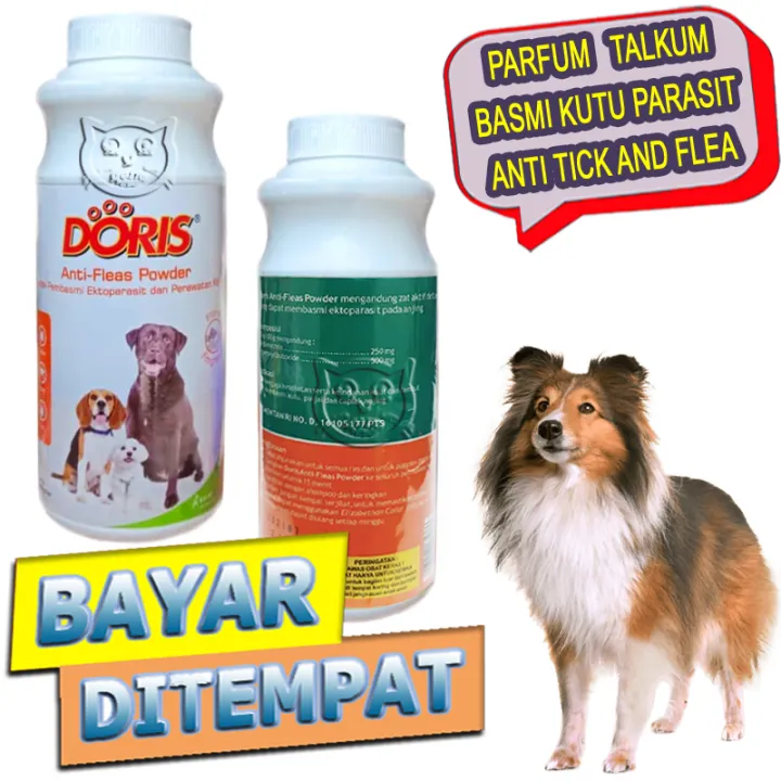Doris Bedak Kucing Anti Kutu Gatal Basmi Parasit | Lazada Indonesia