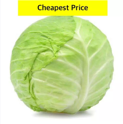 Cabbage Repolyo Round Ball Seeds 0.7gram (85-100pcs seeds) Vegetables ...