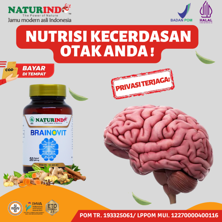 Obat Herbal Penambah Daya Ingat Kecerdasan Otak Menambah Konsentrasi Suplemen Nutrisi Otak Obat ...