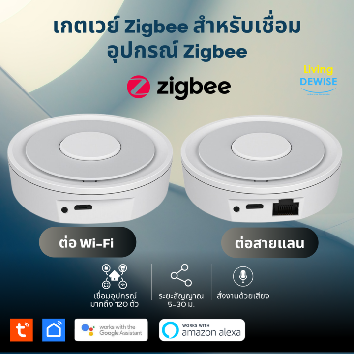 Tuya Zigbee Gateway (LAN หรือ Wi-Fi) เกตเวย์ Zigbee สำหรับเชื่อมอุปกรณ์ Tuya Zigbee | Lazada.co.th