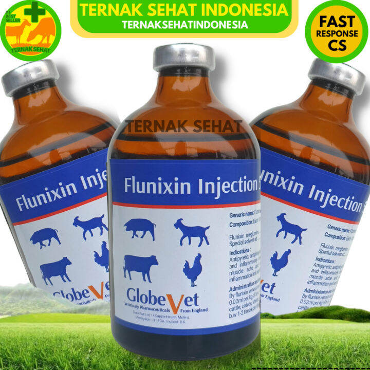 FLUNIXIN INJEKSI 5% 100 ml by GLOBE VET - Penurun Demam Hewan Ternak ...