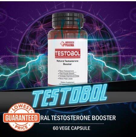 Testobol (Natural Testosterone Booster) 60 capsules - Support ...