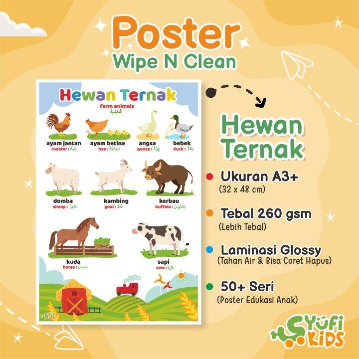 Poster Edukasi Anak Seri Hewan Ternak | Lazada Indonesia