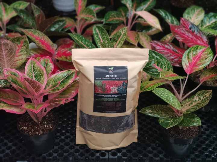 Media Tanaman MEDKOI 3x Fermentasi Kemasan 1kg - Cocok untuk Tanaman ...