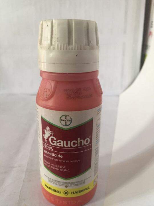 Gaucho Insecticide 100ml | Lazada PH