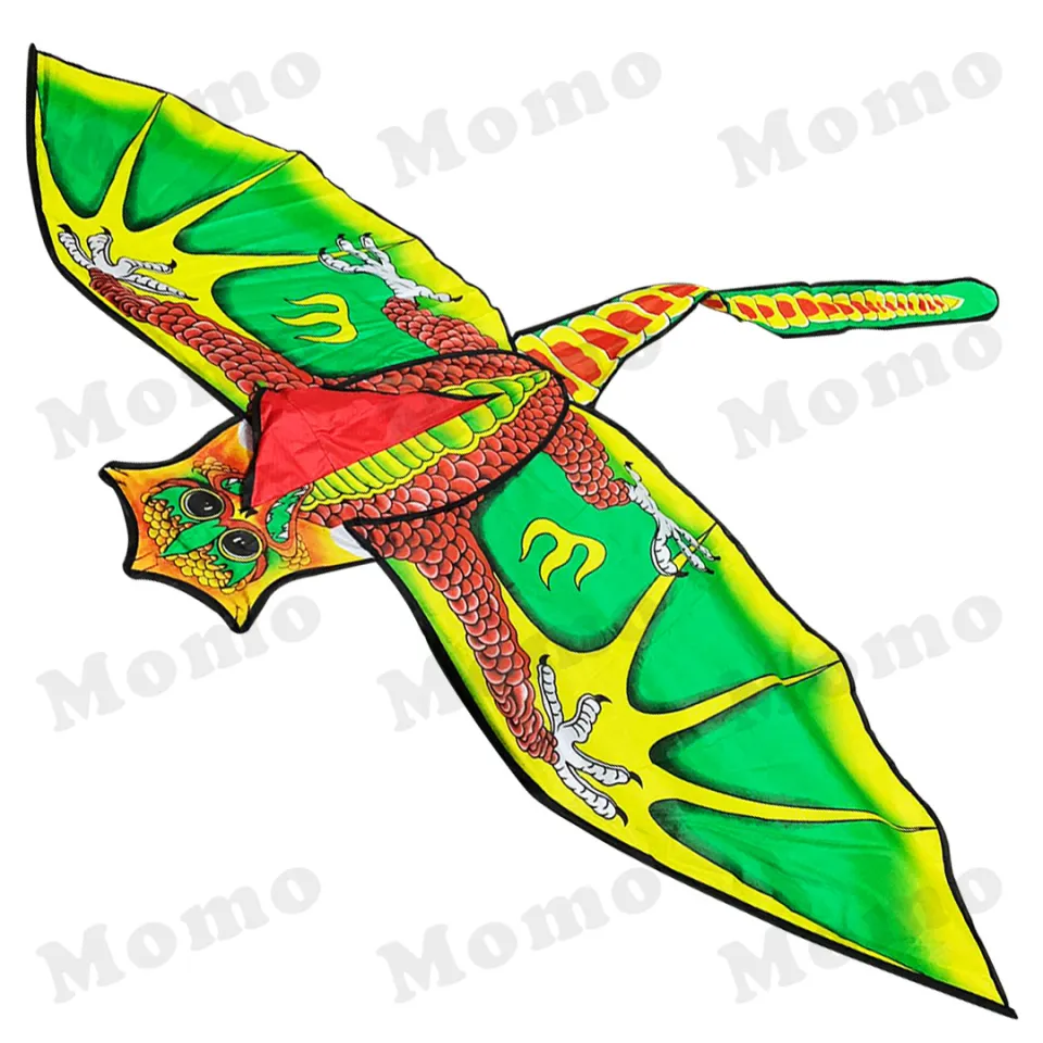 Flat Dragon Kites