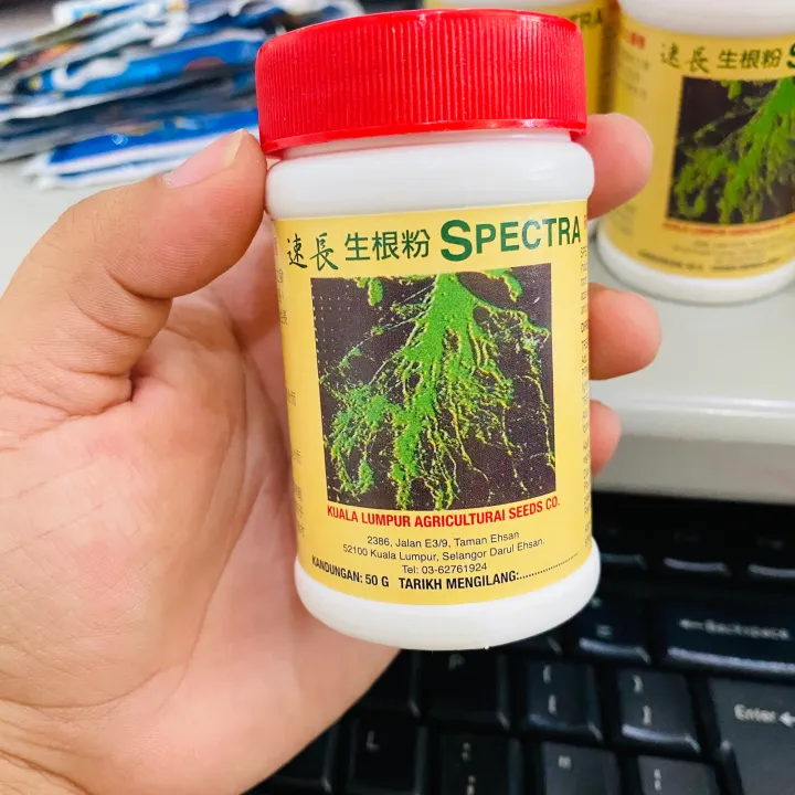 Spectra Rooting powder from malaysia (50g) | Lazada PH