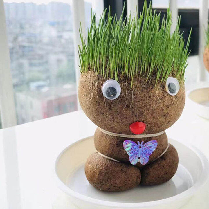 DIY Grass Doll Growing Kit Cat Grass Head Planter Stress Relief Toys ...