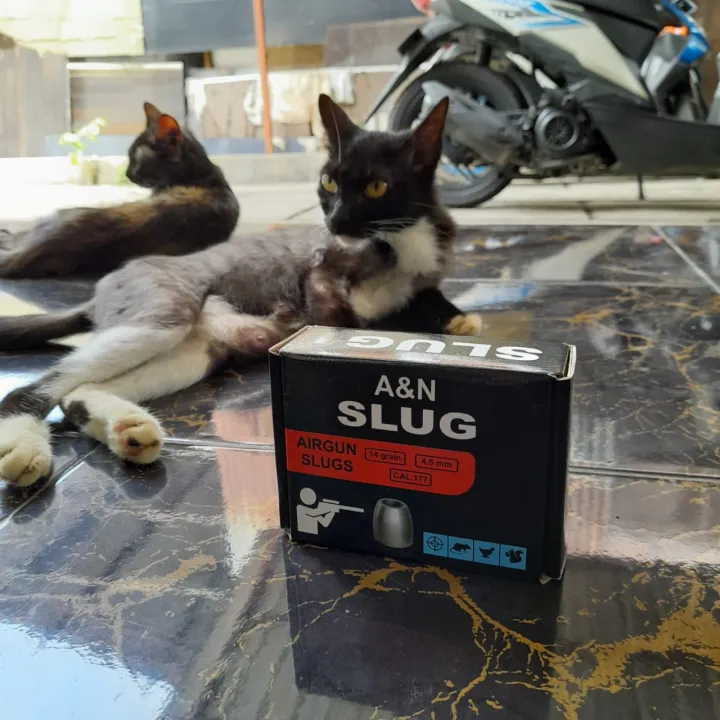 AN SLUG - A&N SLUG 14 GR | Lazada Indonesia