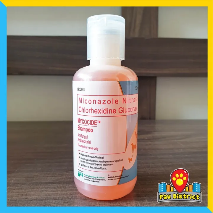 Mycocide Shampoo 150ml - Antifungal and Antibacterial | Lazada PH