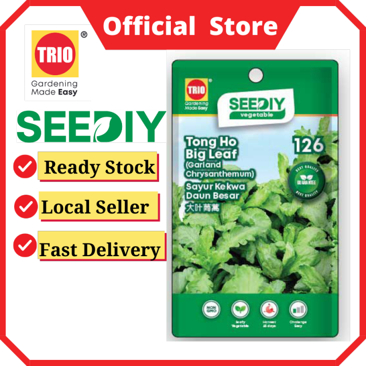 TRIO SEEDIY Tong Ho Big Leaf (Garland Chrysanthemum) 大叶茼蒿 Sayur Kekwa ...