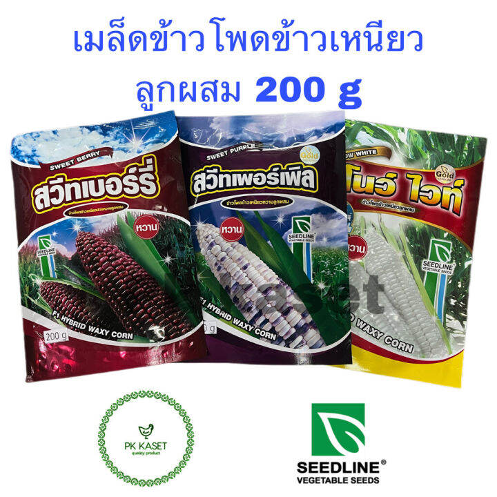 เมล็ดข้าวโพดข้าวเหนียวลูกผสม 200g ตราseedline | Lazada.co.th