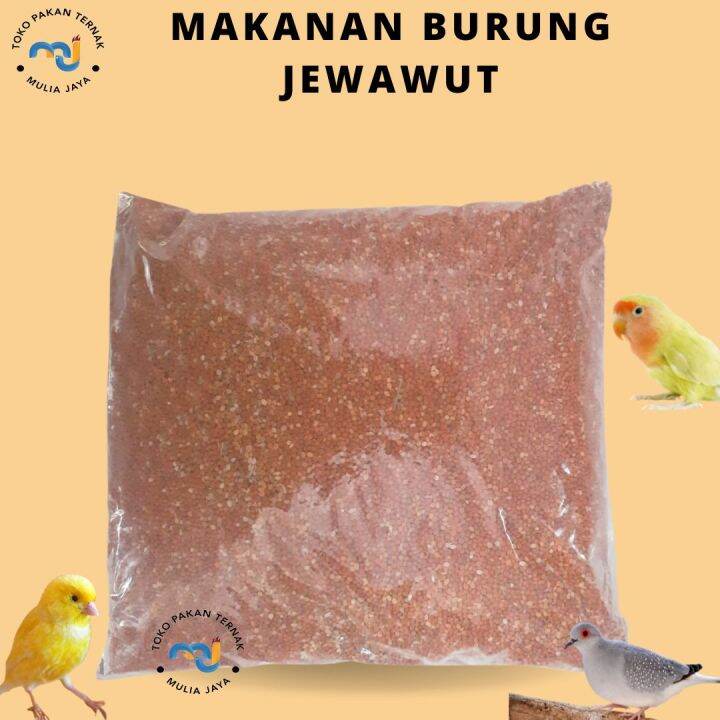 Jewawut 1kg Pakan Burung | Lazada Indonesia