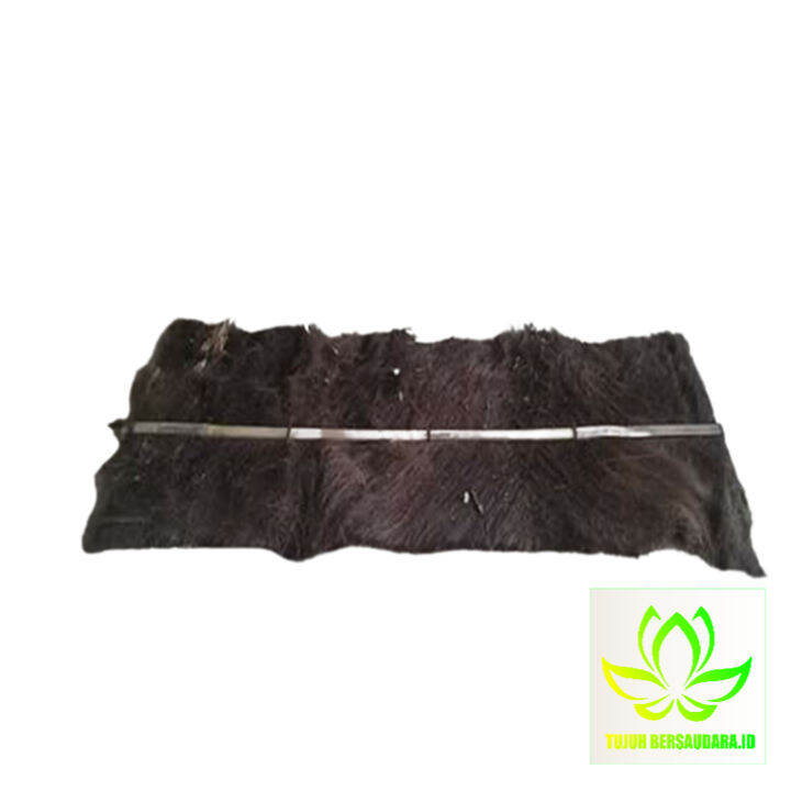 KAKABAN IJUK INJUK TEMPAT BERTELUR IKAN | Lazada Indonesia