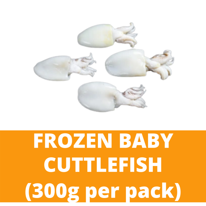 Frozen Baby Cuttlefish (300g+/-) 小墨斗 SungTao Frozen Seafood Shellfish ...