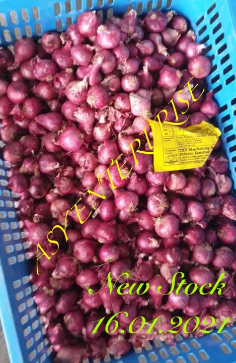 India Shallot 3kg+- | Lazada