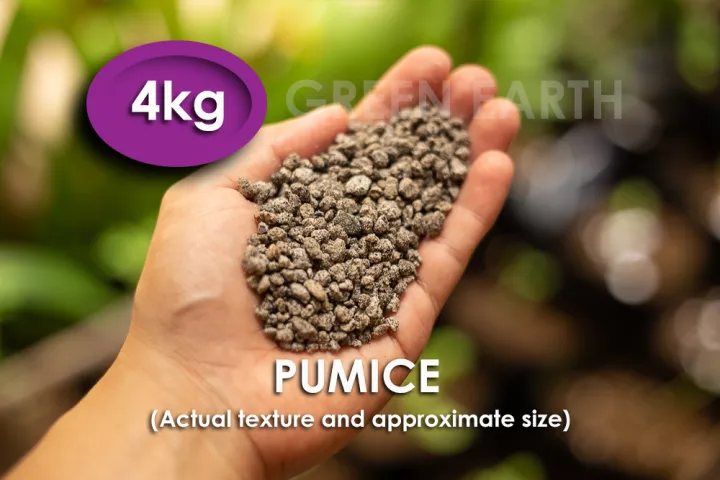 GREEN EARTH/ PUMICE STONES Mongo (4 Kilos). Used for landscaping ...