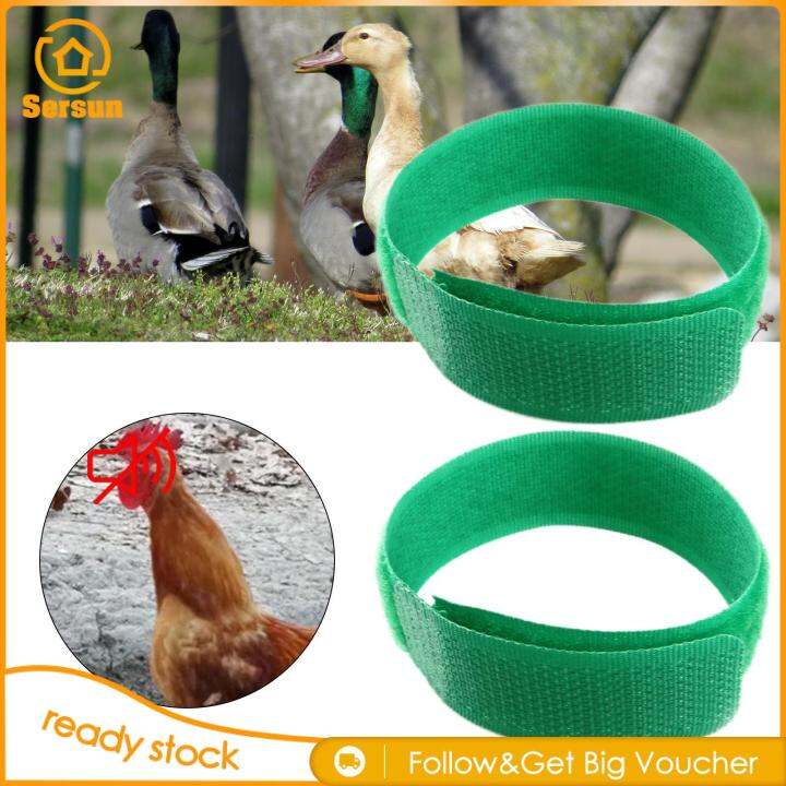 Sersun 2x Rooster Anti Crow Collar Neck Belt Chicken Collar for ...