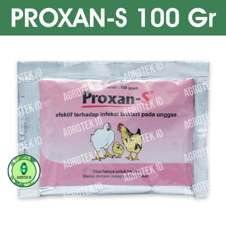 PROXAN-S 100 gram Obat CRD Colibacillosis Kolera Korisa Ayam | Lazada ...