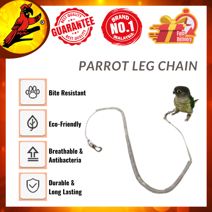 MPT bird harness parrot harness Ring Kaki Burung Gelang kaki Burung ...