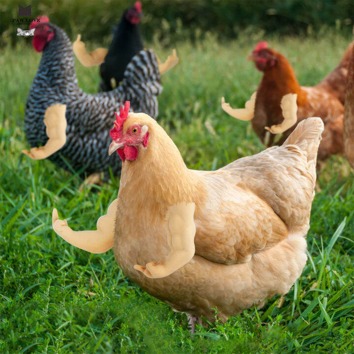 Strong Muscle Arms Chicken Toys Thumb up Chicken Arms Cosplay Costume ...