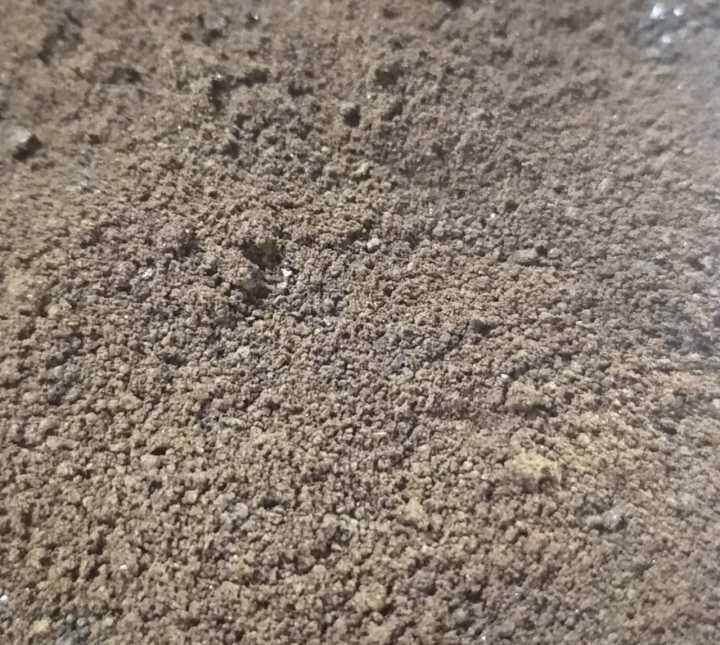 Serbuk Cacing Sutra CASUT Bubuk Pakan Burayak Larva cupang guppy ...