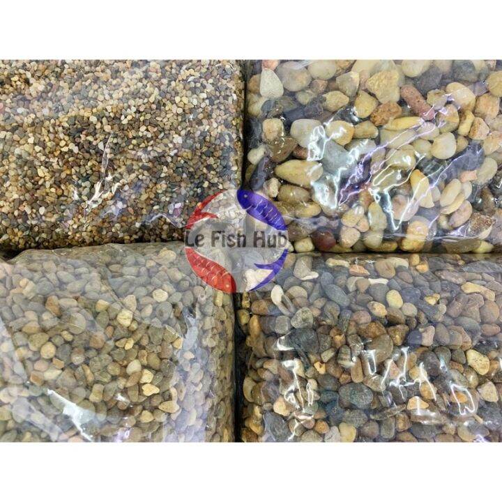 AQUARIUM DECORATIVE 1KG YIHUA STONE & RIVER SAND | BATU & PASIR SUNGAI ...