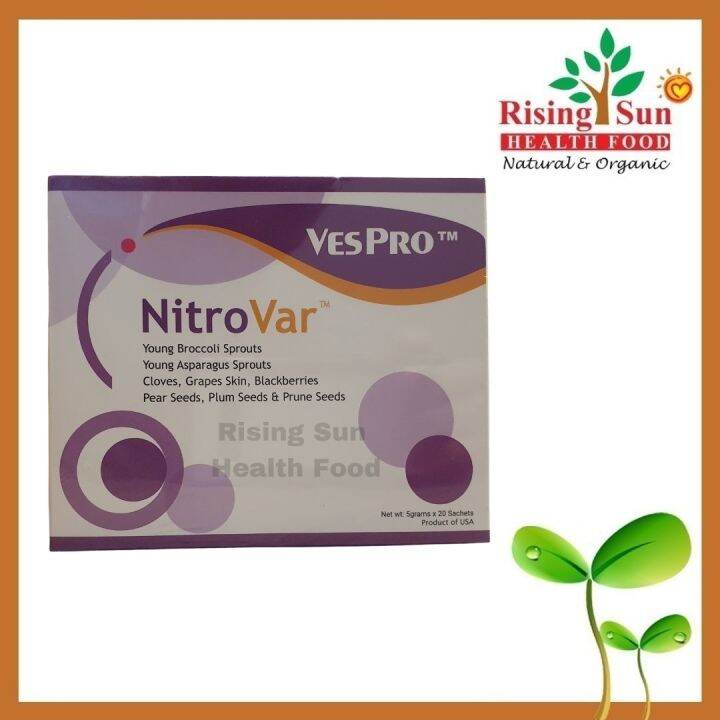 Dynamic Nutrition Nitro Var 5G X 20Sachets | Lazada