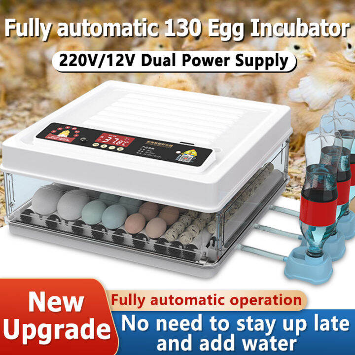 130 Egg Incubator Intelligent Digital Hatcher Brooder 220V/12V Eggs Fully Automatic Egg ...