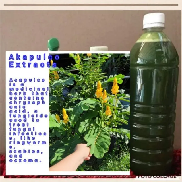 Akapulco Akapulko onhand | Lazada PH