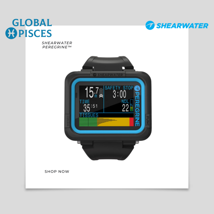 SHEARWATER PEREGRINE™ Dive Computer | Lazada