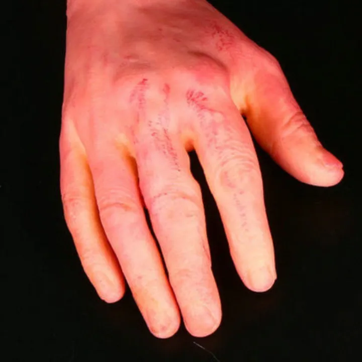 Five Eva for theprops in the haunted house chamber of broken one ...