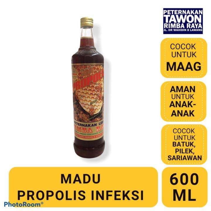 Madu Propolis Infeksi 600 ml kemasan botol kaca hasil peternakan tawon ...