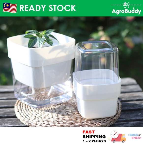 AgroBuddy Transparent White 2 Layer Self Watering Pot Hydroponic Pot ...